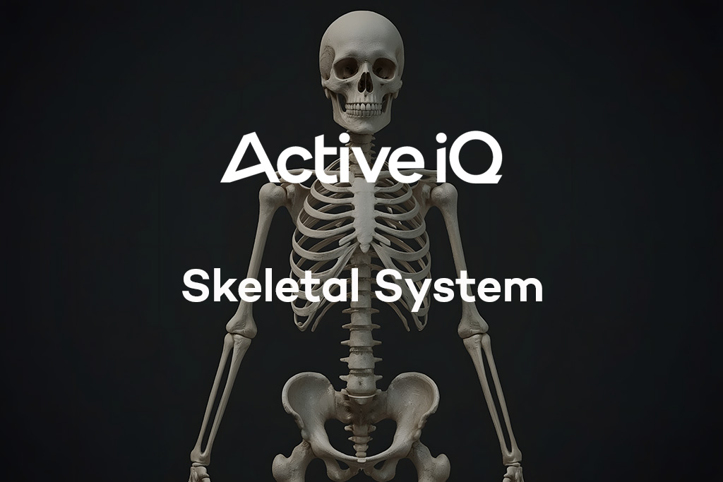 Tile: Anatomy and physiology for exercise | Active IQ Fitness Coach - eLearning | Active IQ
