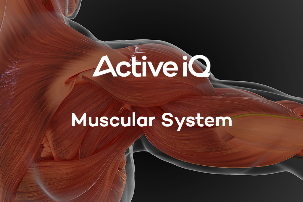 Tile: Anatomy and physiology for exercise and health | Active IQ - Personal Trainer - eLearning ...
